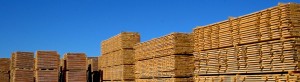 Pallets | Auckland | The Pallet CompanyThe Pallet Company | NZ's ...